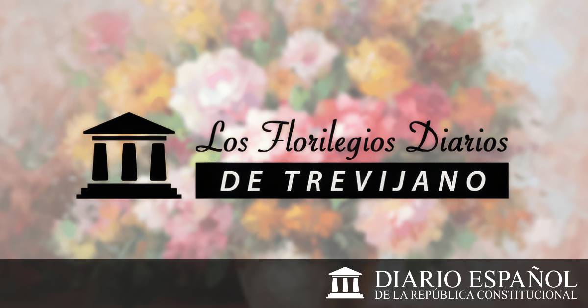 Diferencia entre consenso social y político | DiarioERC
